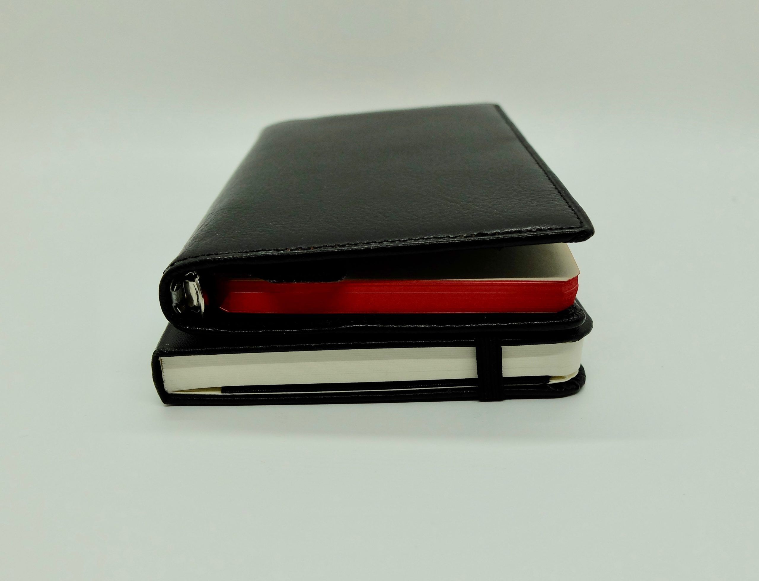 Raymay DaVinci Notebook Review | Notebook Stories
