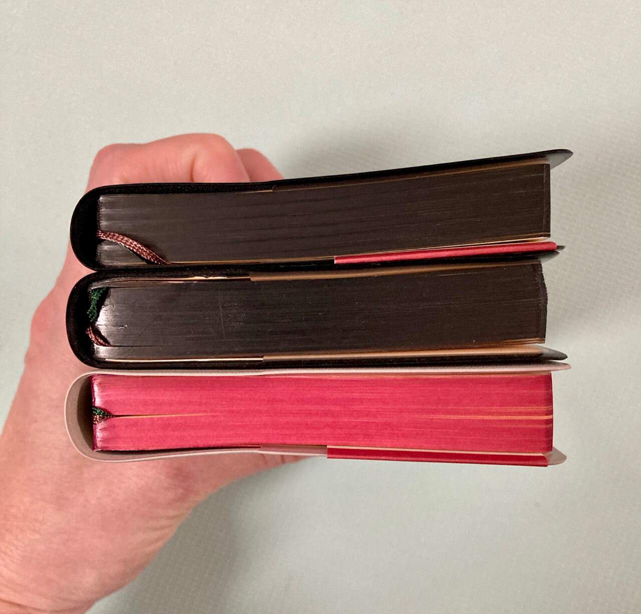 Undated Nolty Daily Book | Notebook Stories