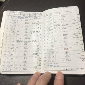 Interesting Japanese Diaries | Notebook Stories