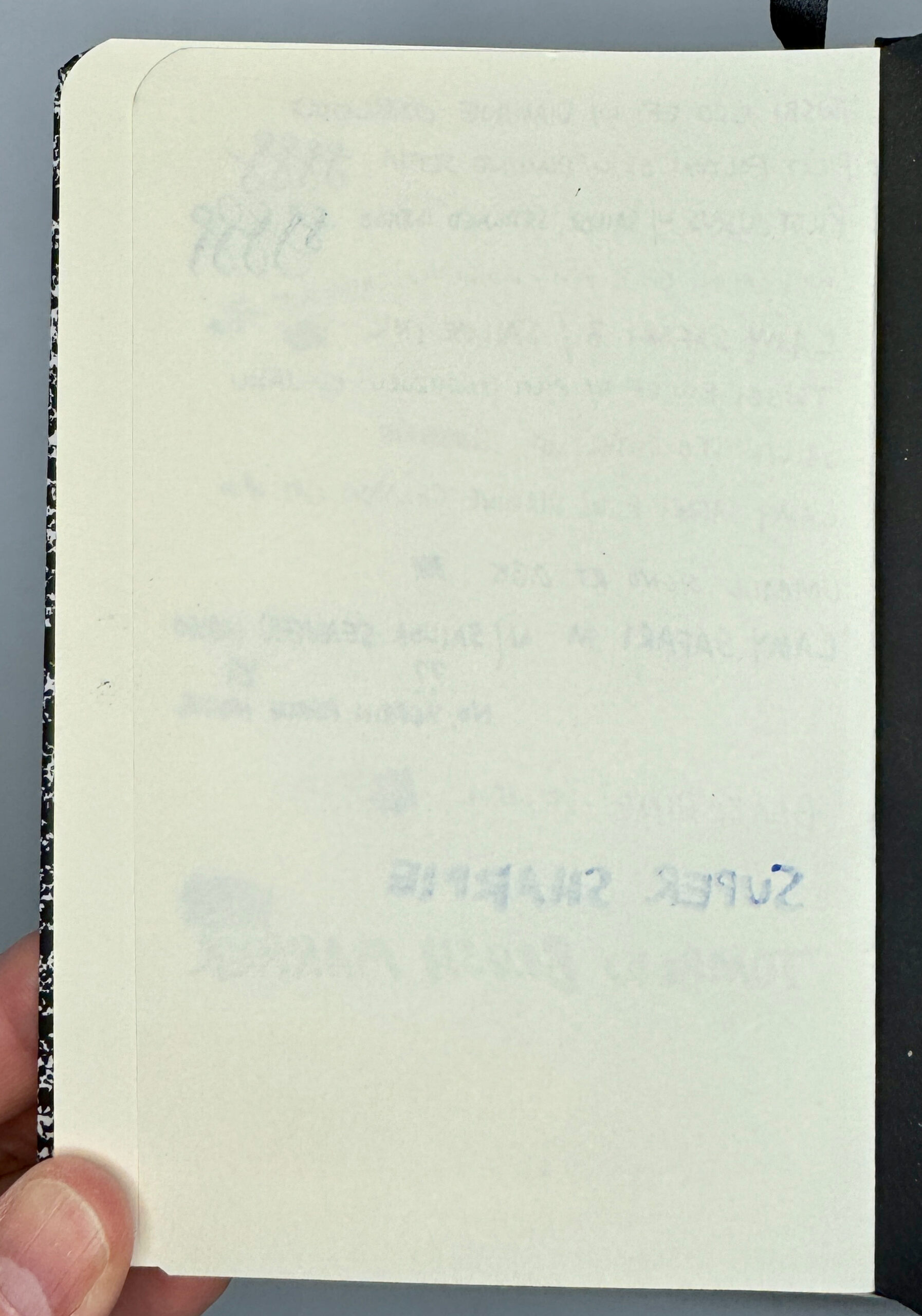 Notebook Review: Miquelrius Logbook | Notebook Stories