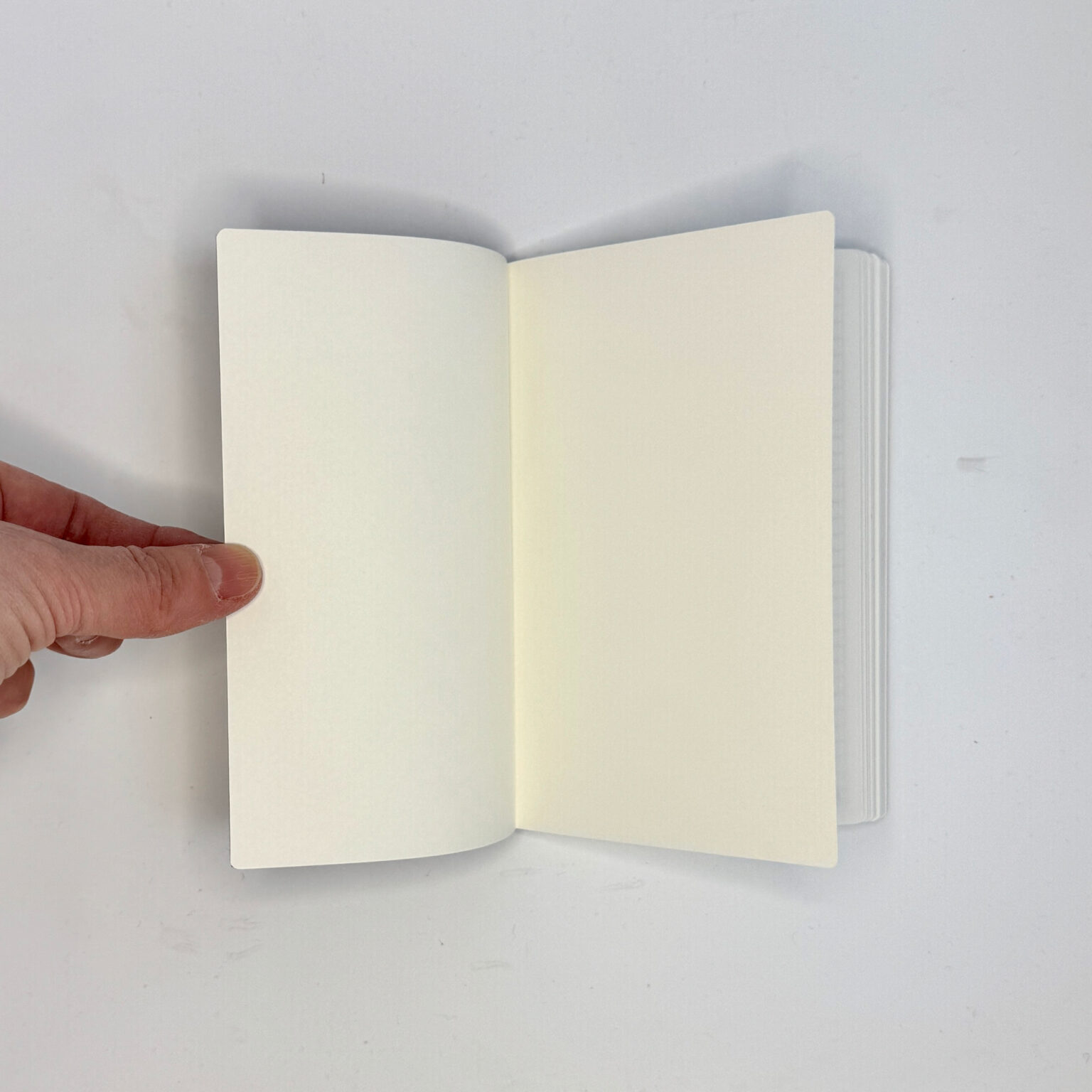 Sterling Ink Notebook Review | Notebook Stories