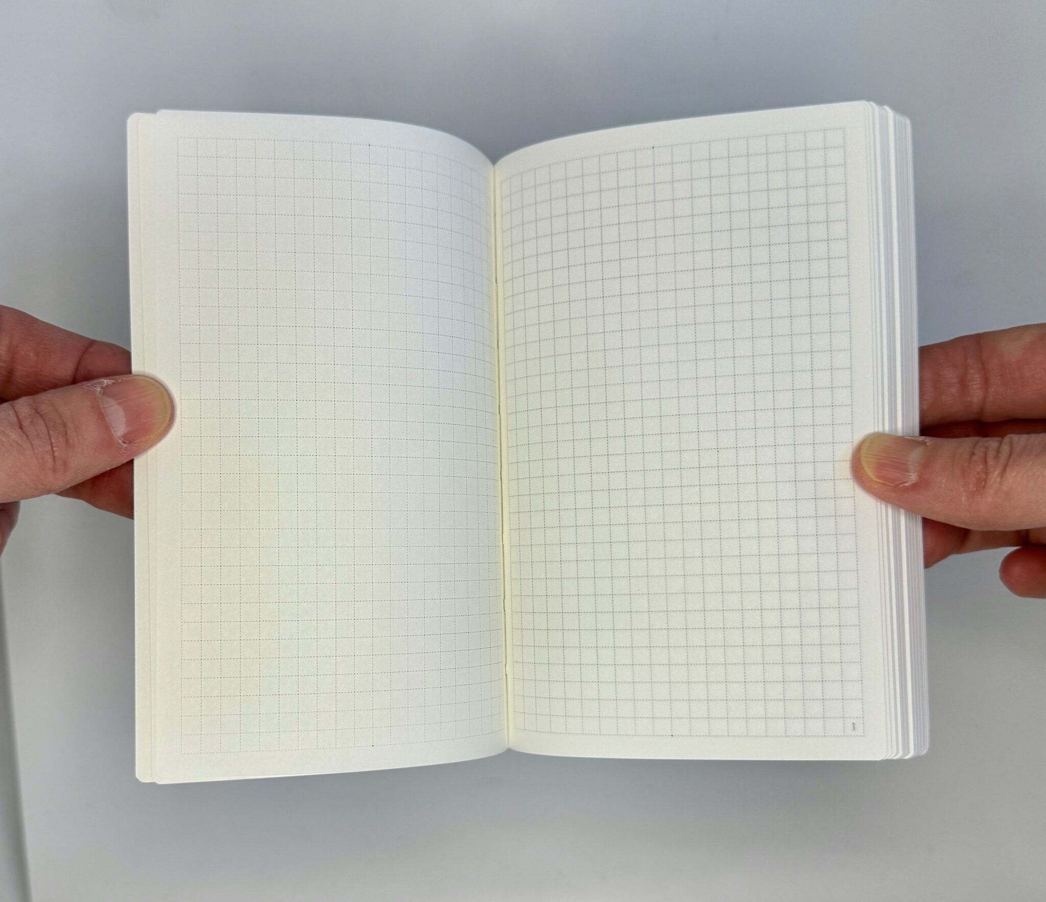 Sterling Ink Notebook Review | Notebook Stories