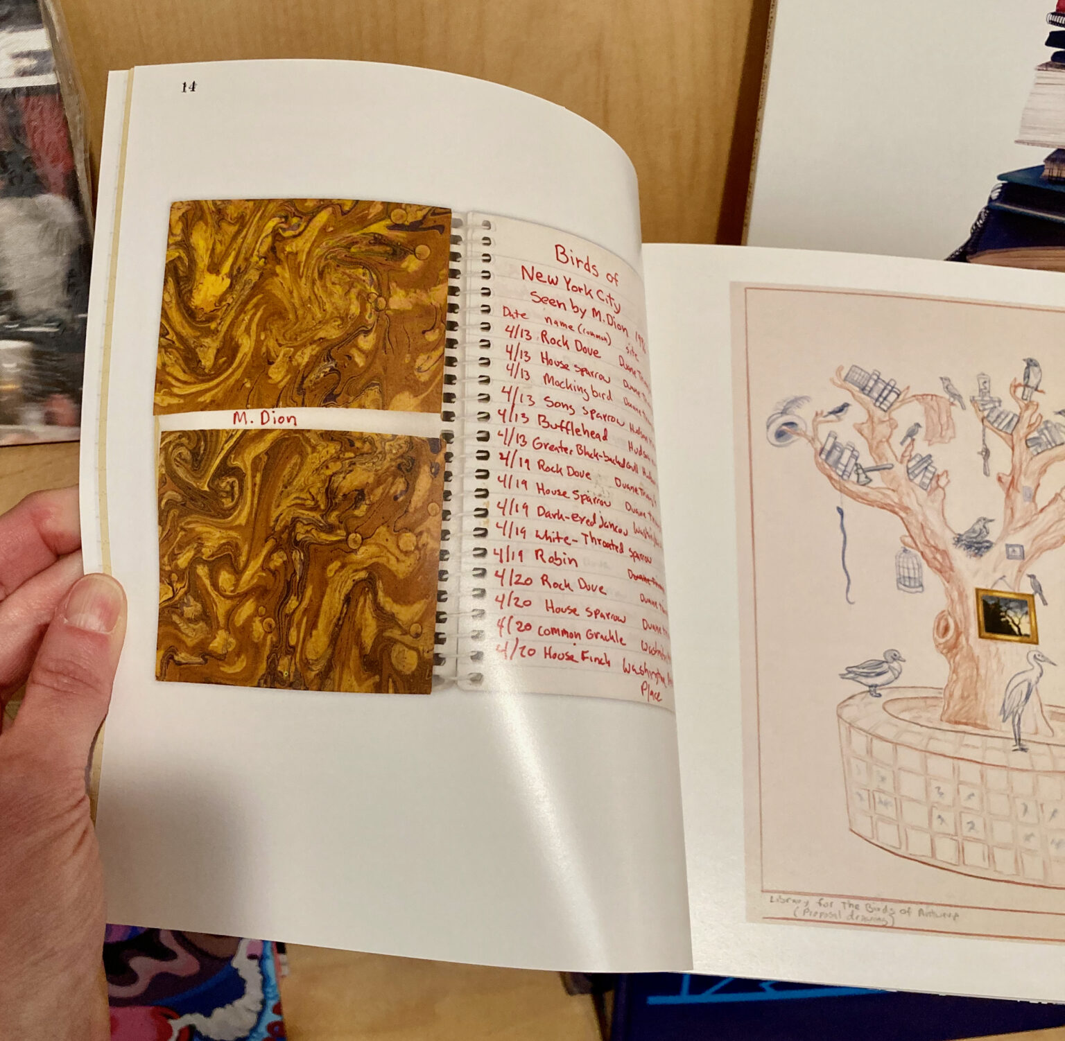 Mark Dion’s Notebooks | Notebook Stories